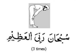 Learn Namaz Sunni Hanfi in Arabic With English Translation