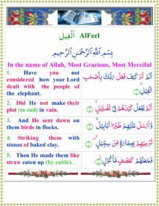 Translation of Surah Feel 105 - TadeebulQuran Learn Quran Online